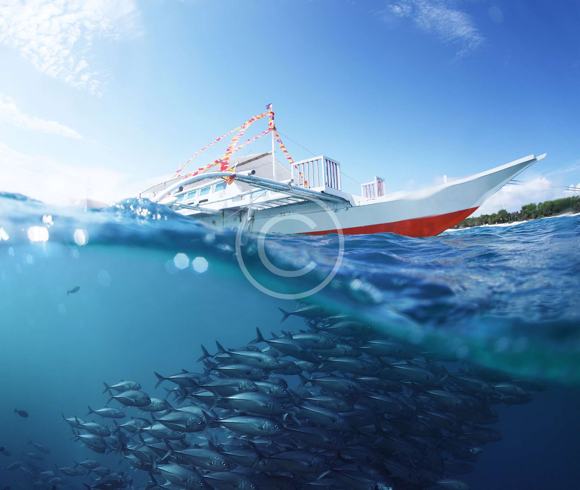 Responsibly Sourced – Seafood Company